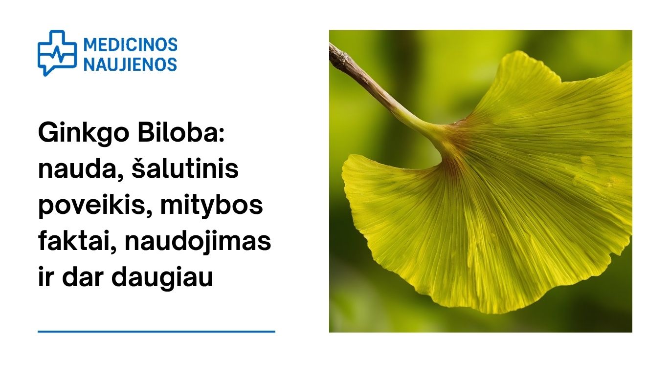 Ginkgo Biloba: nauda, šalutinis poveikis, mitybos faktai, naudojimas ir ...